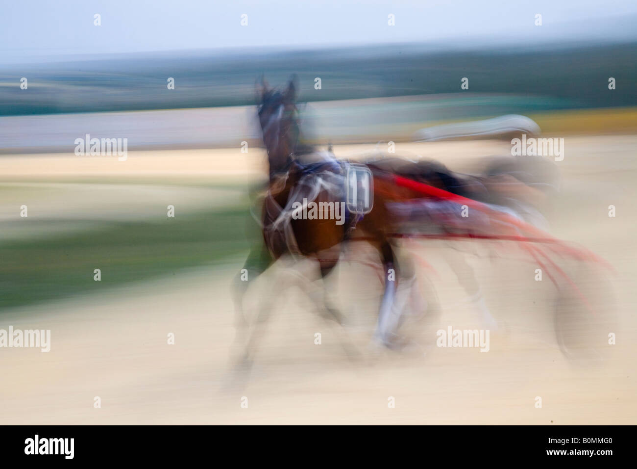 Cinder and sand racing at Marsa racetrack, Trotters, Horse-racing, Trot ...