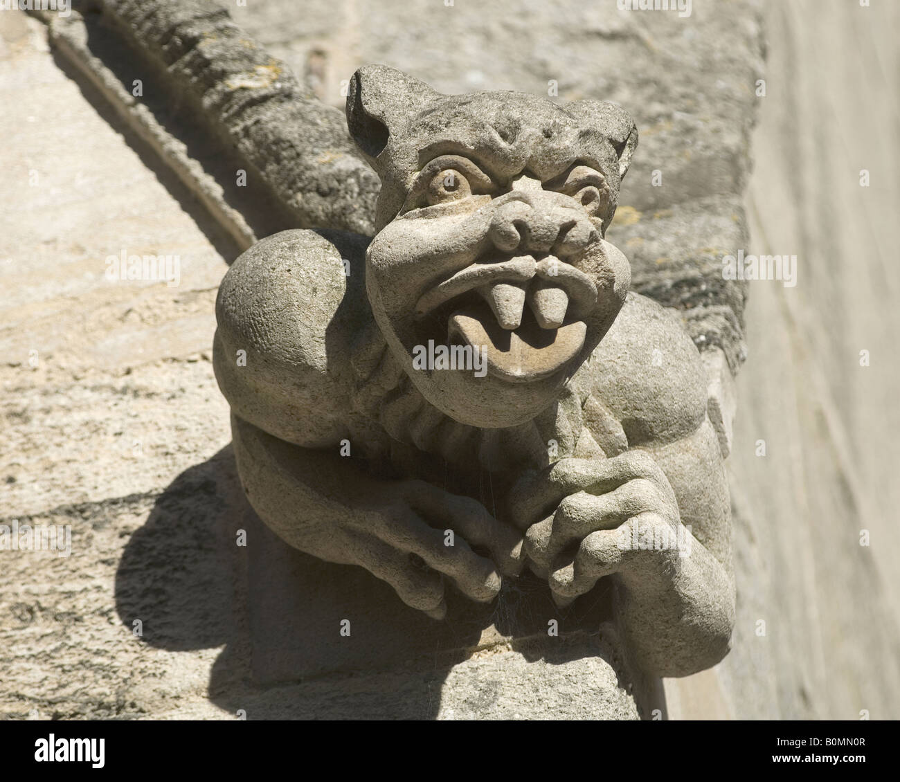 a gargoyle on the side of ely cathedral Stock Photo - Alamy