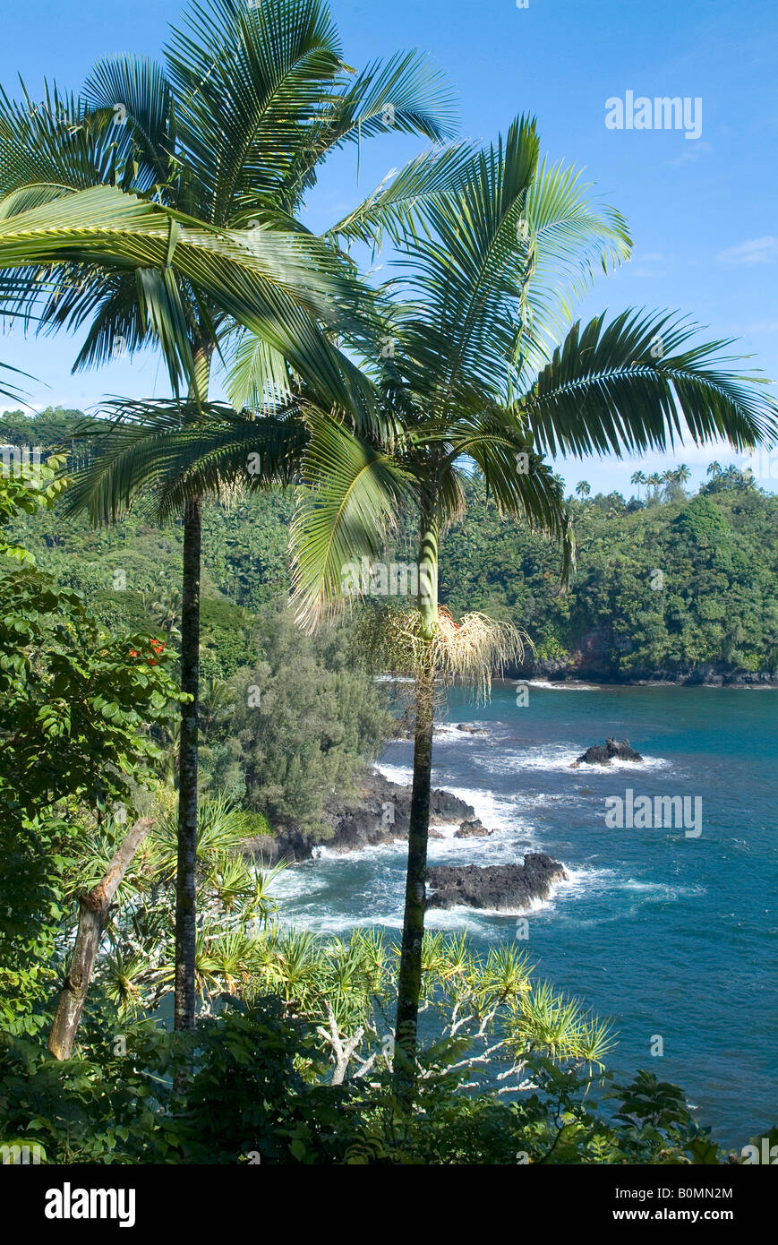 Onomea Bay, island of Hawaii (Big Island), Hawaii, USA Stock Photo - Alamy