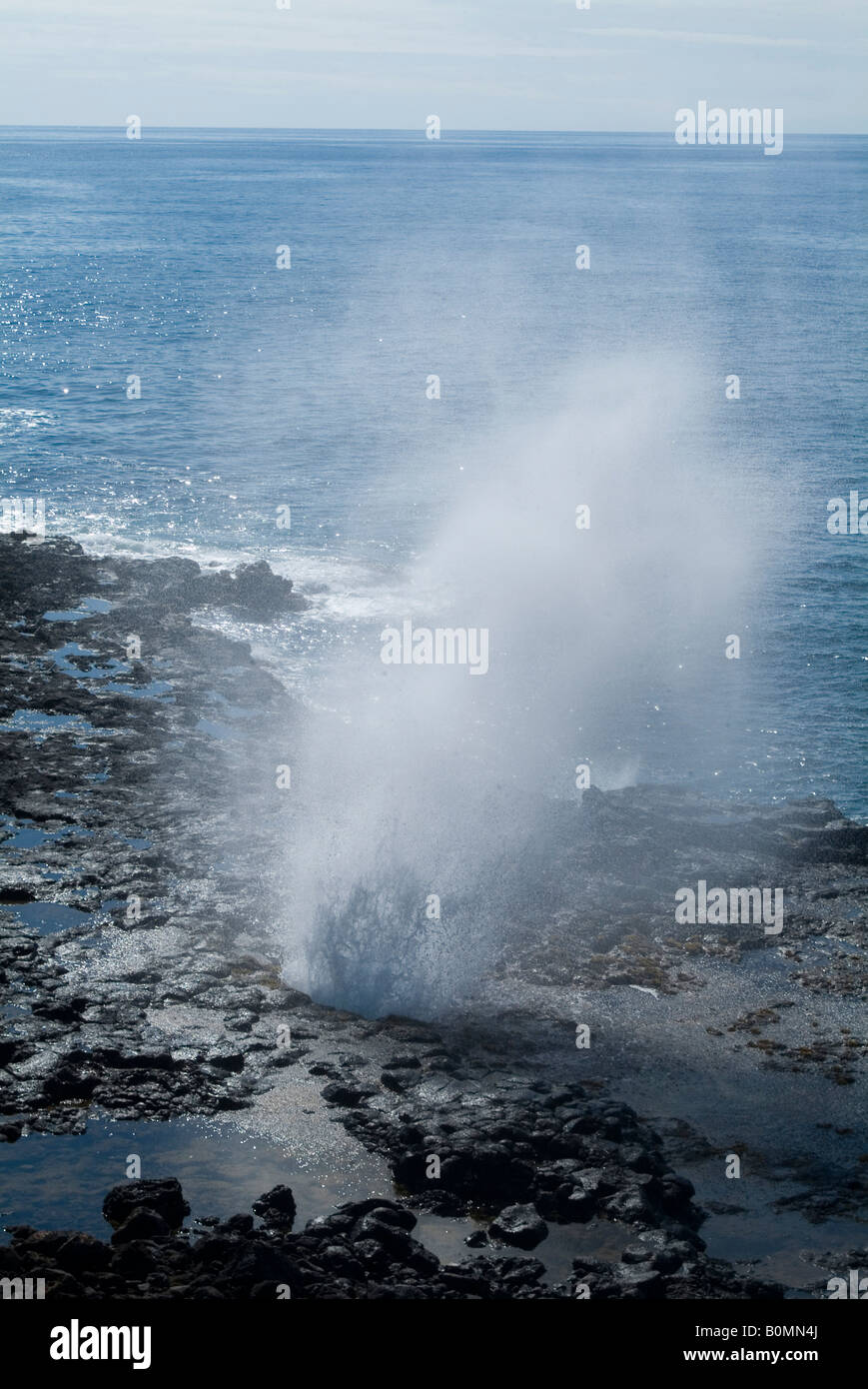Spouting Horn blowholes, island of Kauai, Hawaii, USA Stock Photo - Alamy
