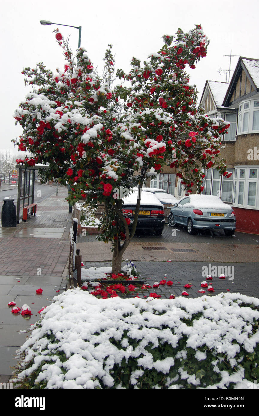 Snow at Stag lane, Colindale, London, England Stock Photo - Alamy