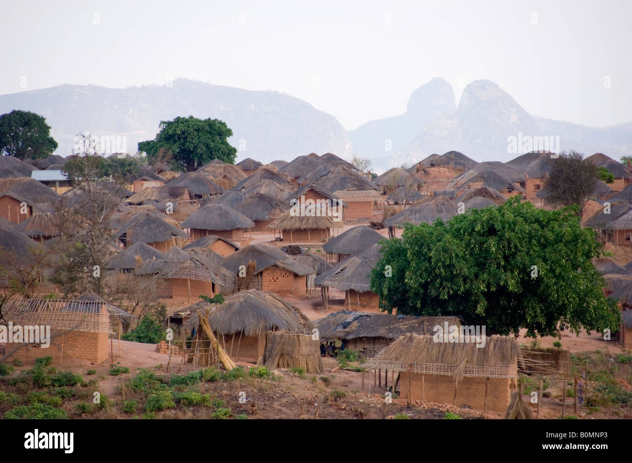 Thatched mud huts on the outskirts of Marrupa, a small town in Niassa ...