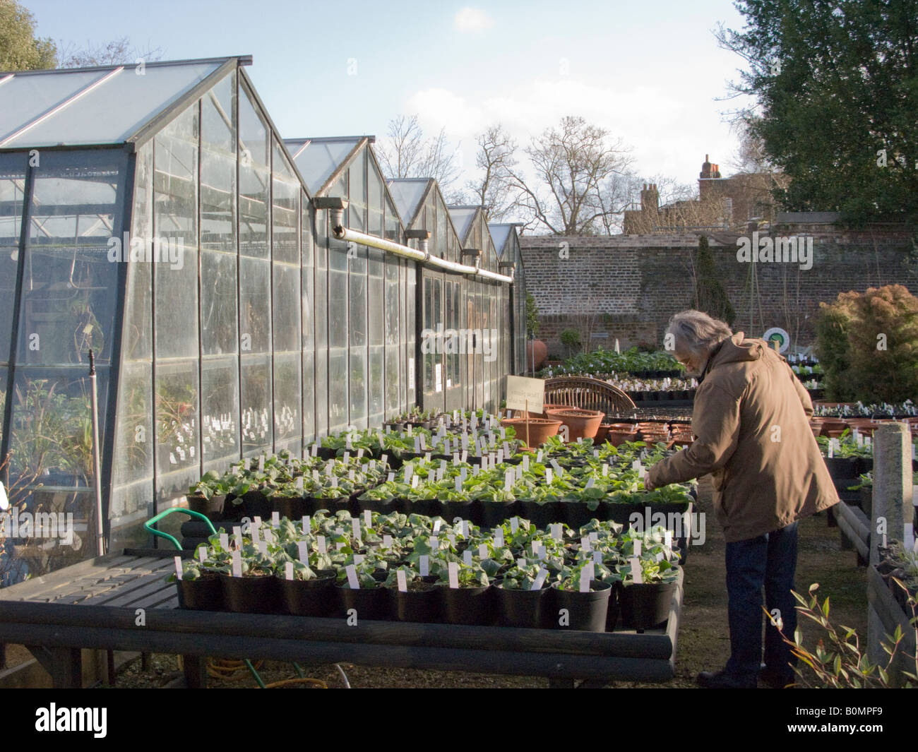 Customer inspecting plants at Petersham Nurseries, Petersham. Richmond ...