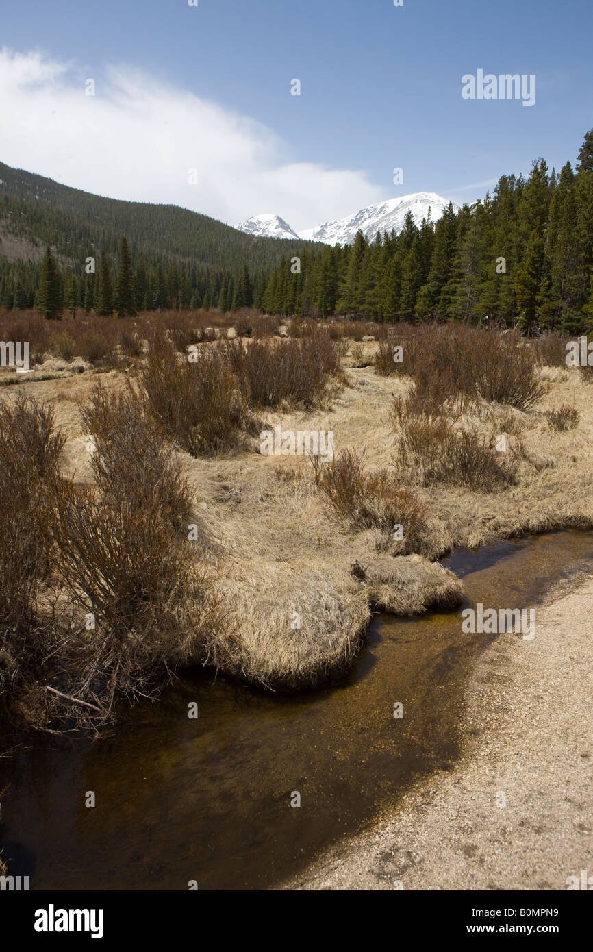 Small stream flows through grasslands showing a diverse ecosystem near ...