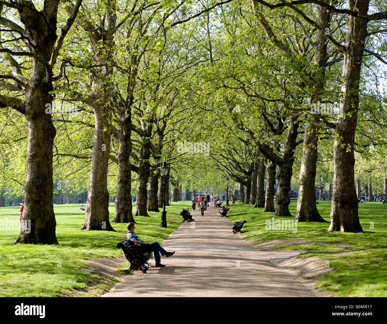 Springtime In Green Park London UK Europe Stock Photo - Alamy