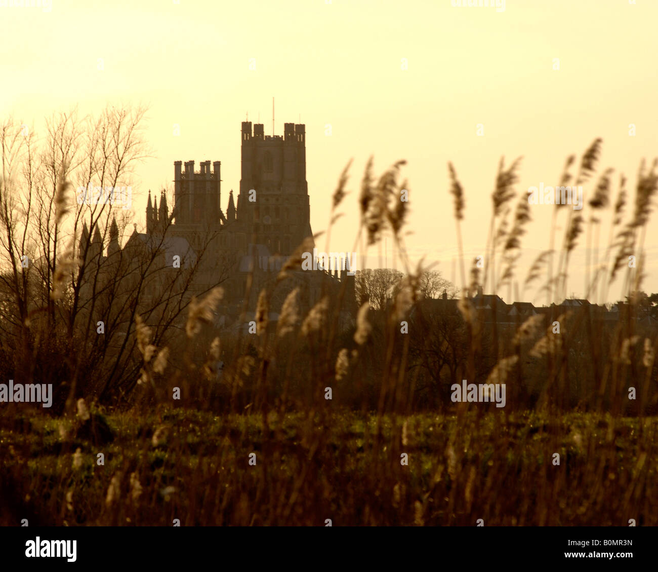 Octagon lantern tower ely cathedral hi-res stock photography and images ...