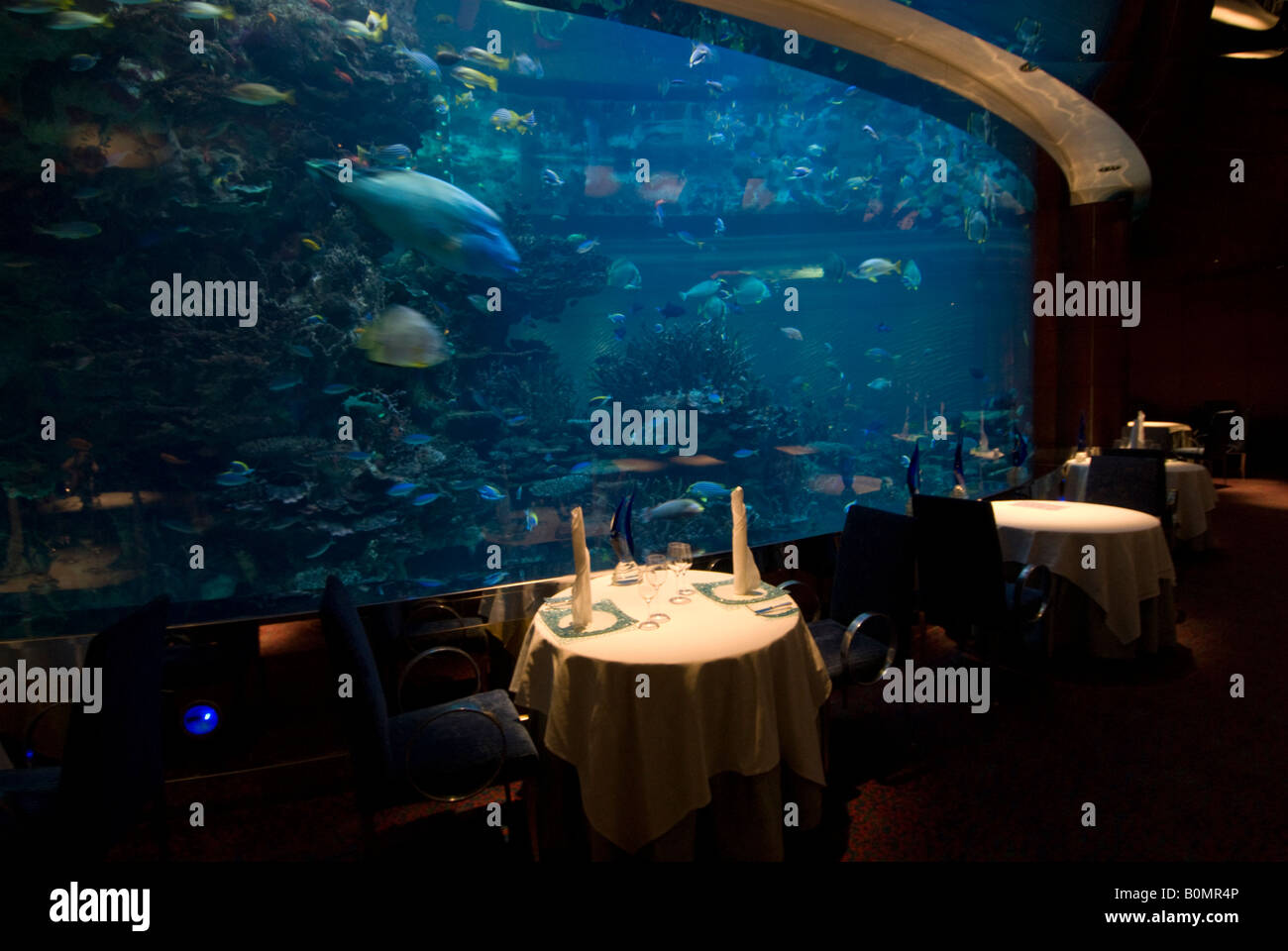 Fish restaurant in the Burj al Arab hotel, Dubai, UAE Stock Photo - Alamy
