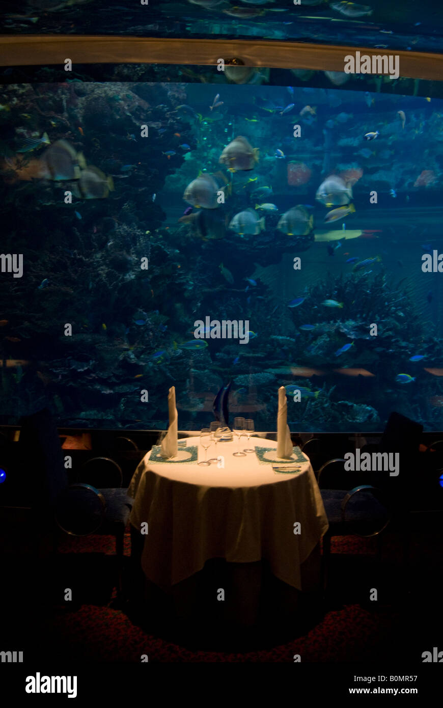 Burj al arab hotel aquarium hi-res stock photography and images - Alamy