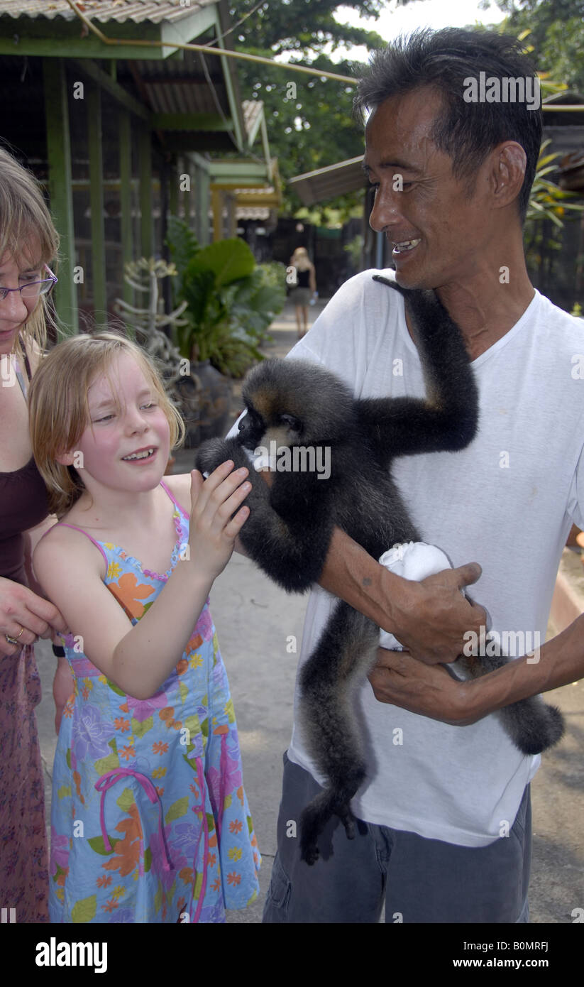 Adventurous monkey hi-res stock photography and images - Alamy