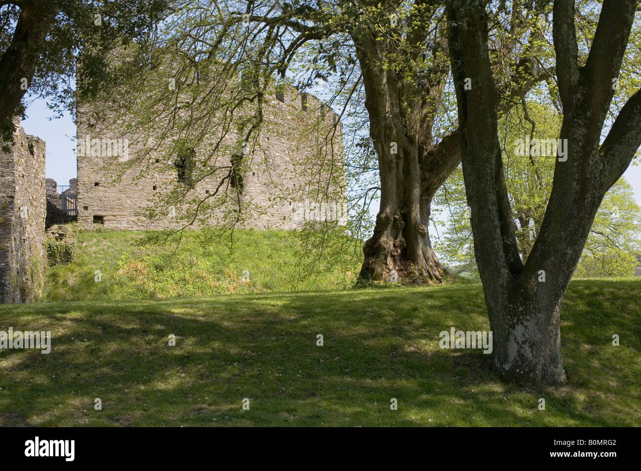 Restormel Castle in Cornwall Stock Photo - Alamy