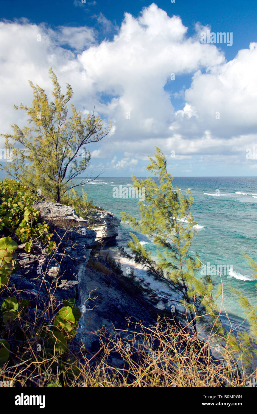 The rugged shoreline of Grand Turk in the Turks and Caicos Islands ...