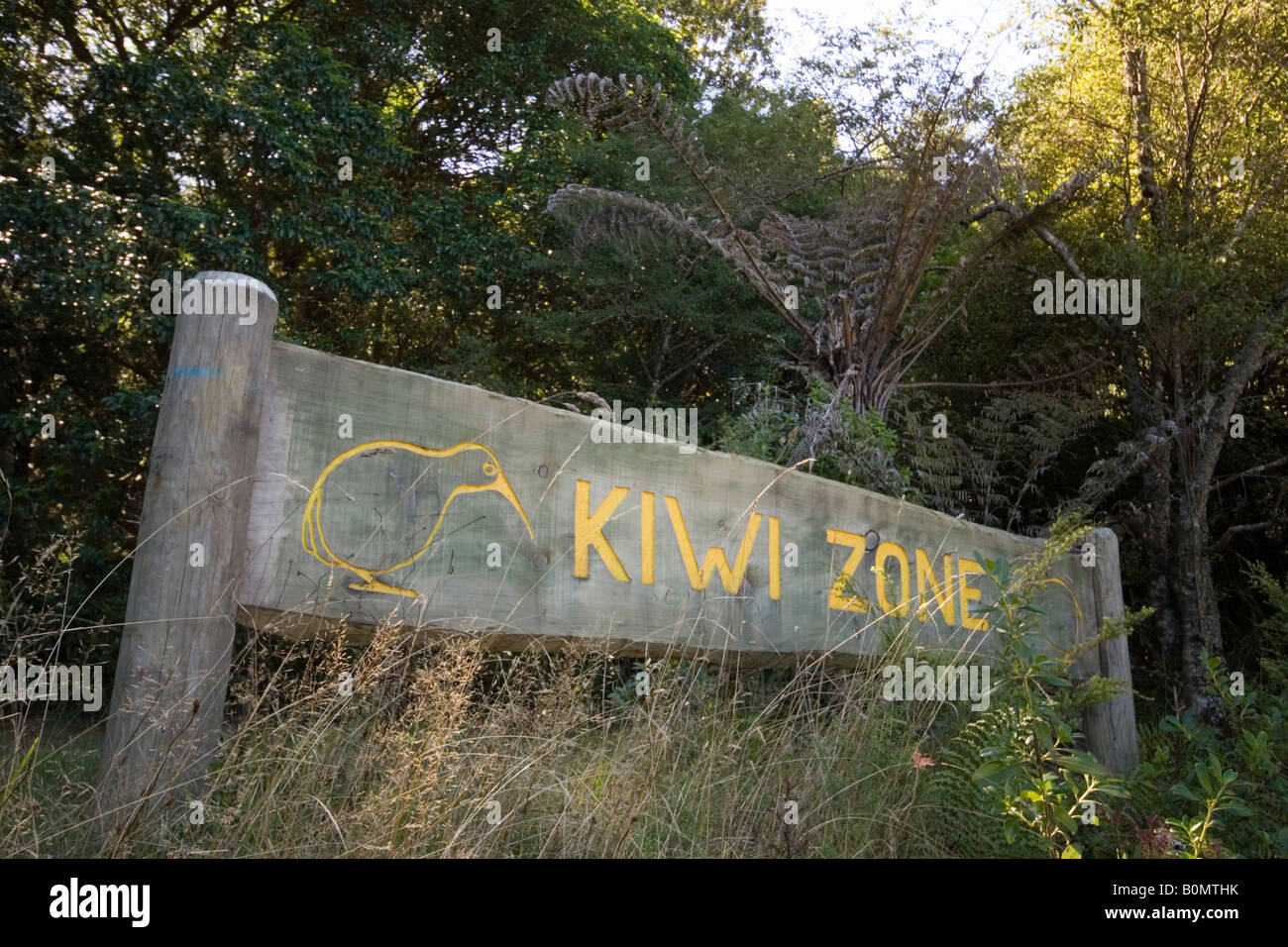 Kiwi zone sign Stock Photo - Alamy
