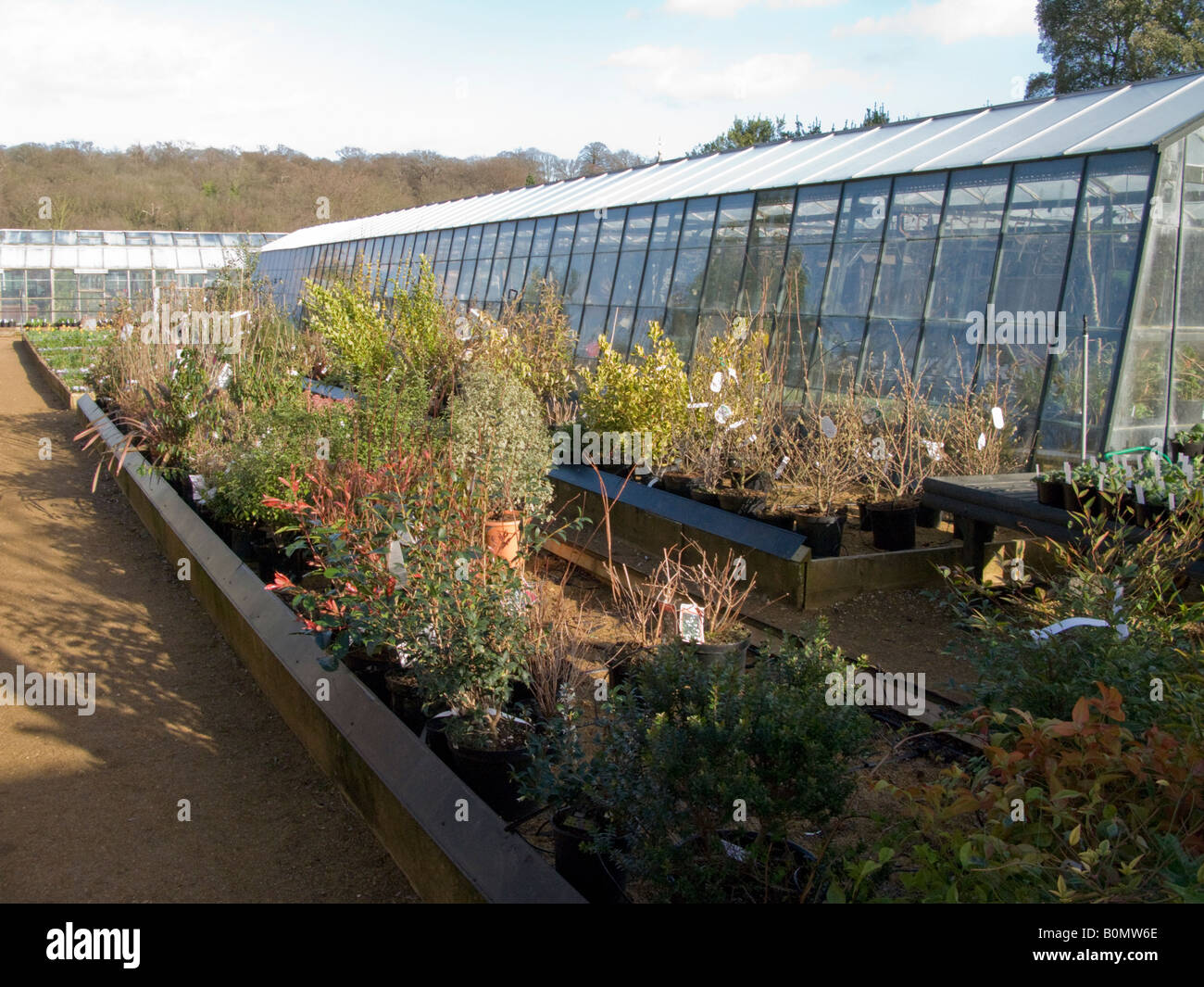 Petersham nursery hi-res stock photography and images - Alamy