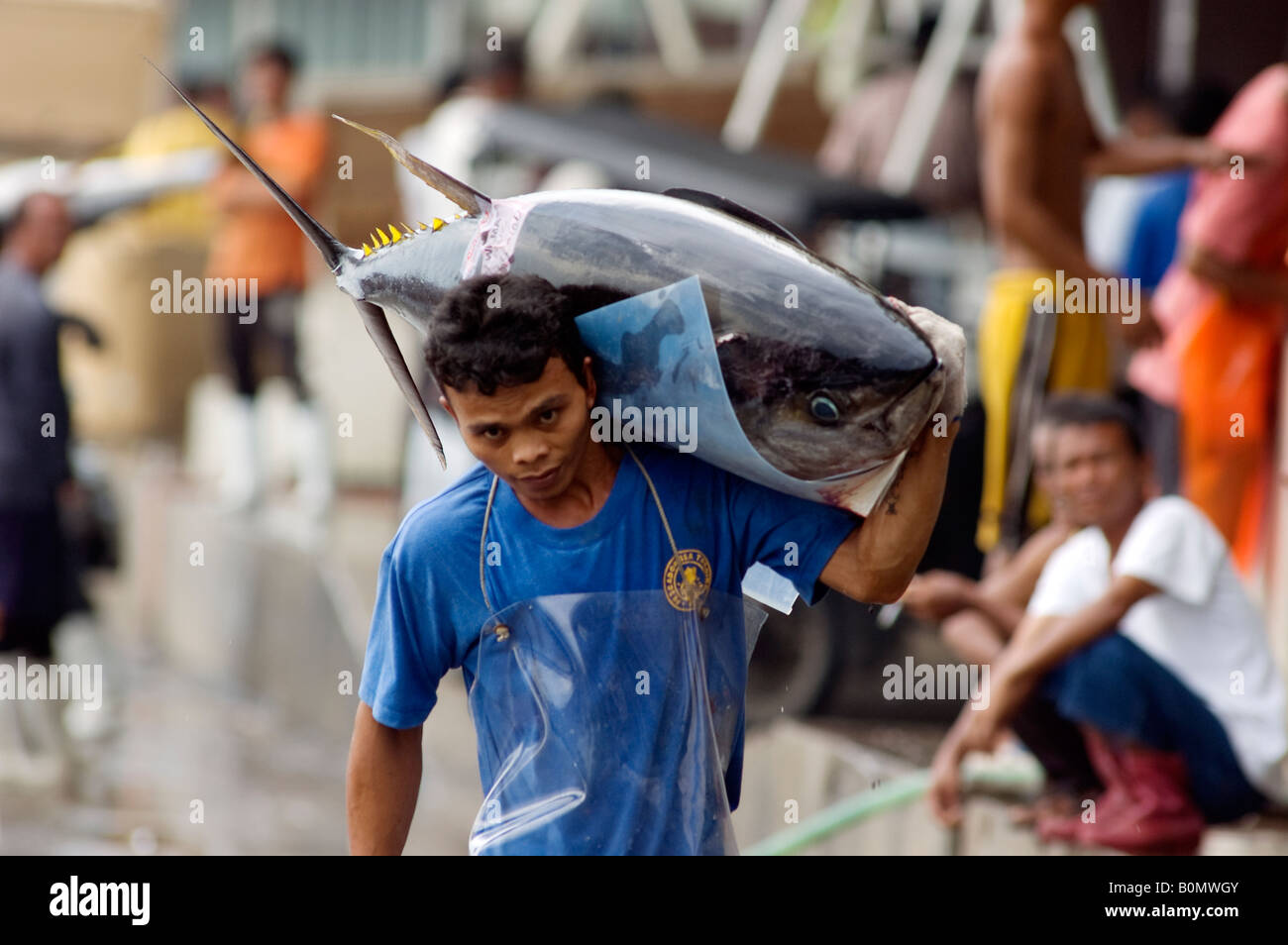 Yellow fin tuna at fish market at General Santos City, Mindanao ...