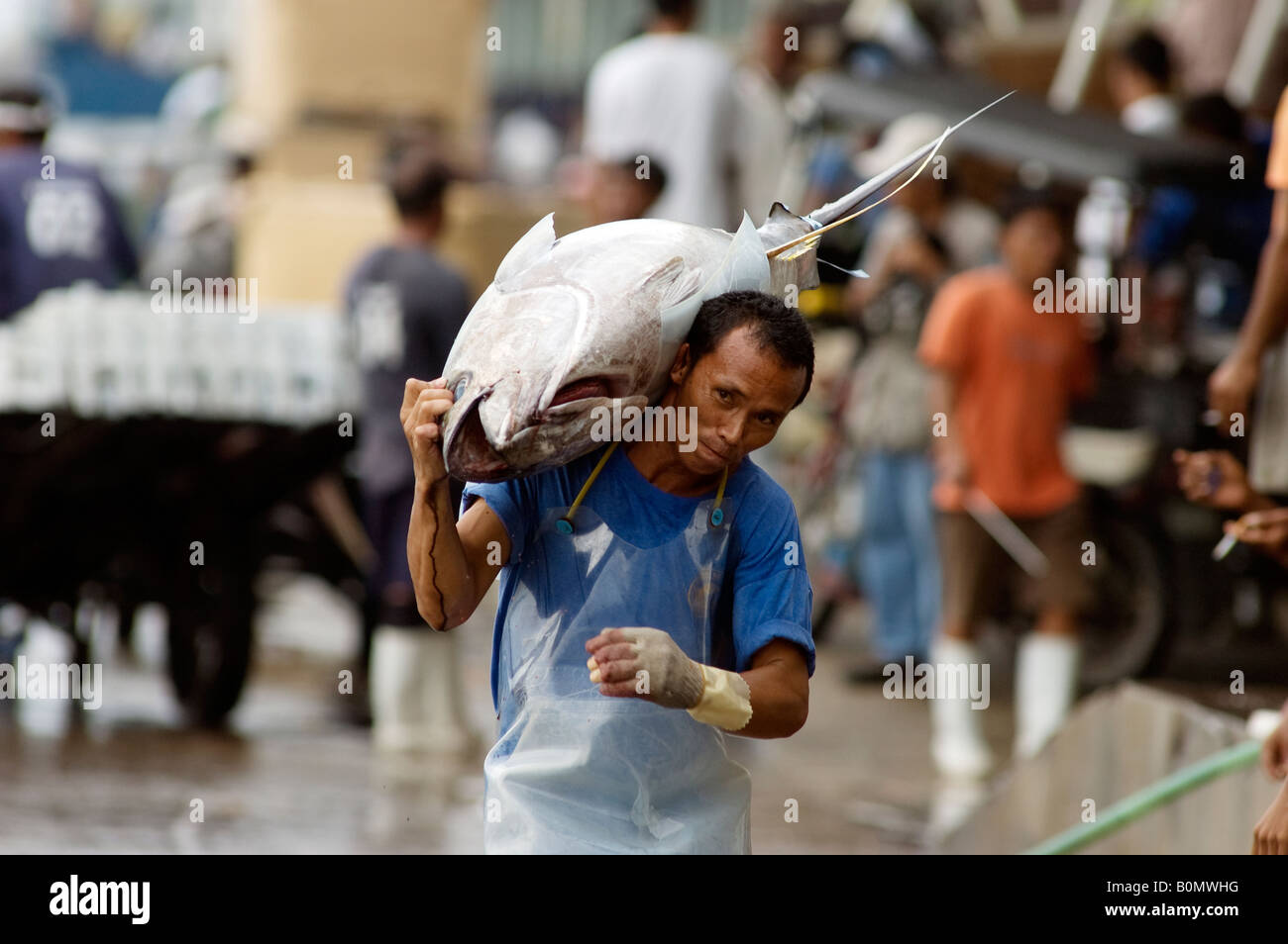 Yellow fin tuna at fish market at General Santos City, Mindanao ...