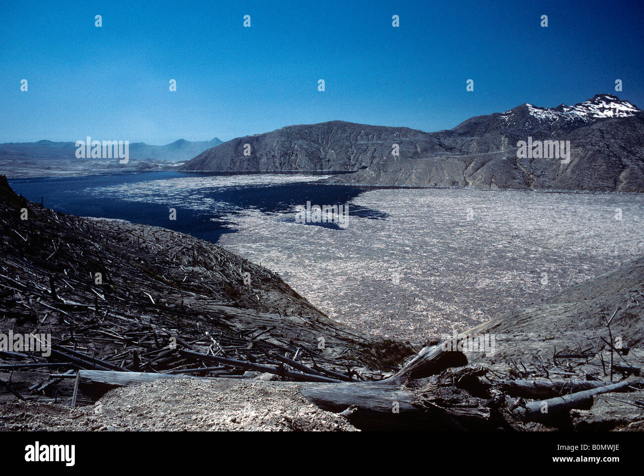 Spirit Lake on Mt St Helens 6 years after the eruption Stock Photo - Alamy