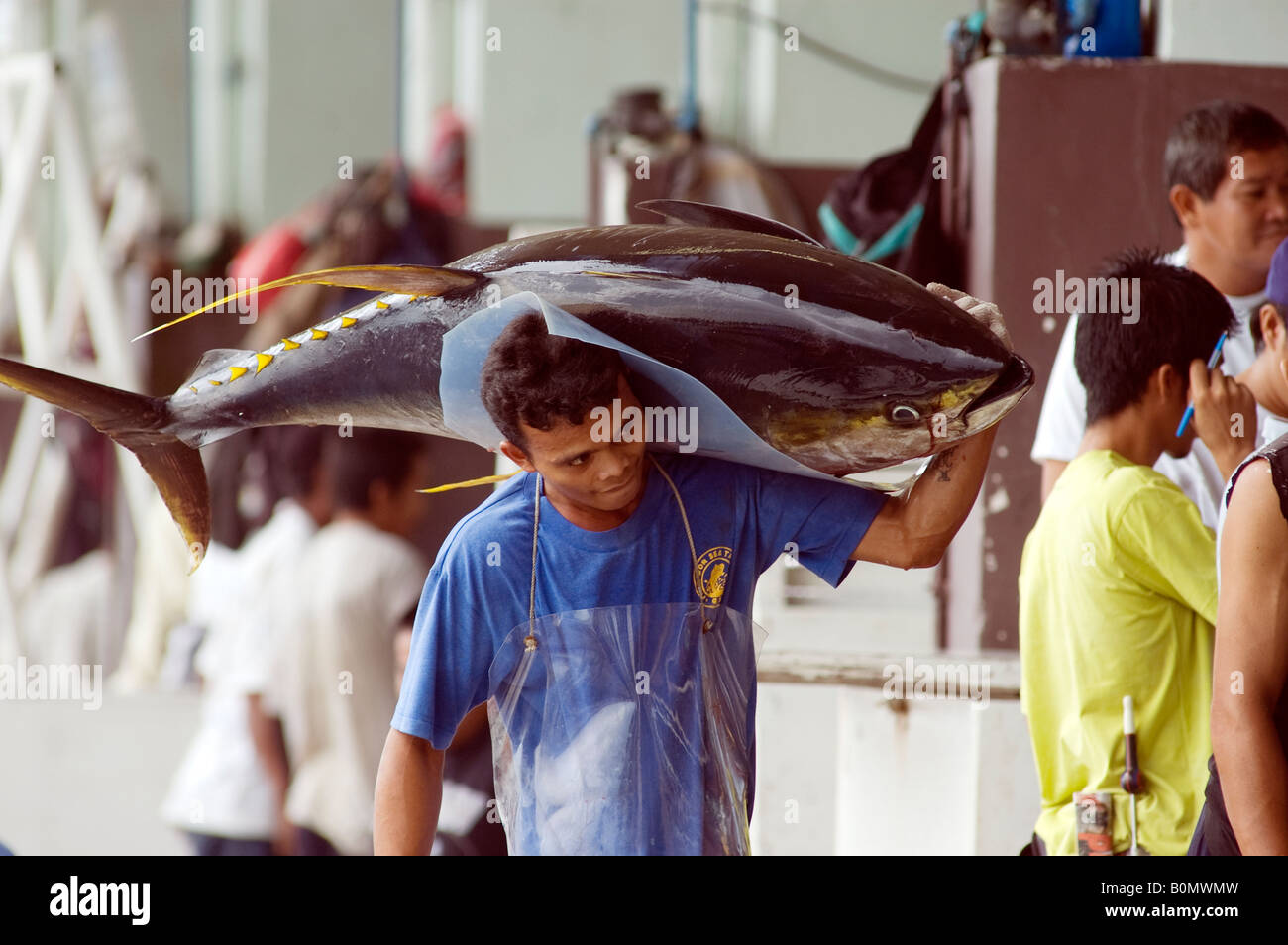 Yellow fin tuna at fish market at General Santos City, Mindanao ...