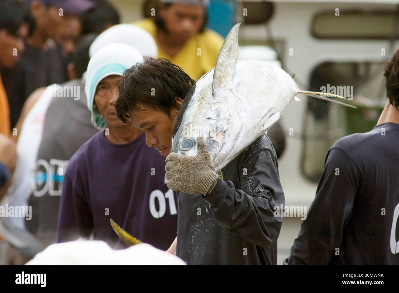 Yellow fin tuna at fish market at General Santos City, Mindanao ...