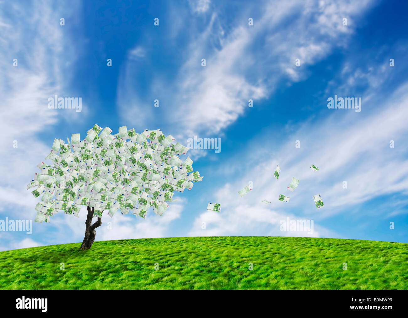 Concept of a cash tree with falling 100 Euro banknotes leaves Composite ...