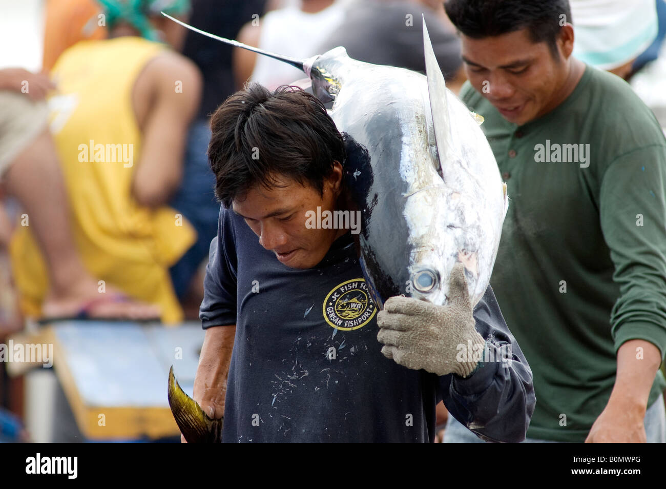 Yellow fin tuna at fish market at General Santos City, Mindanao ...