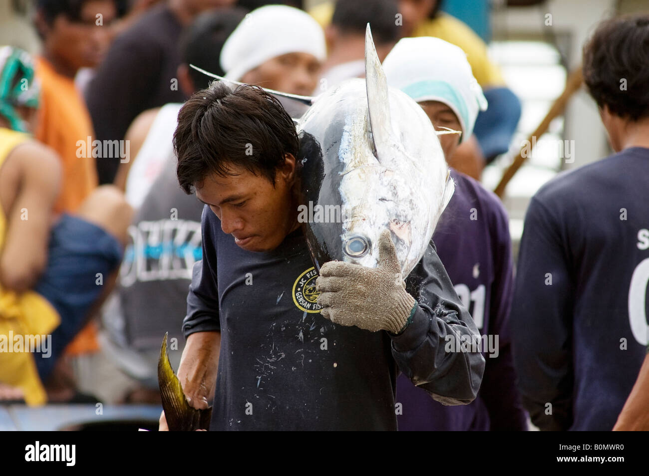 Yellow fin tuna at fish market at General Santos City, Mindanao ...