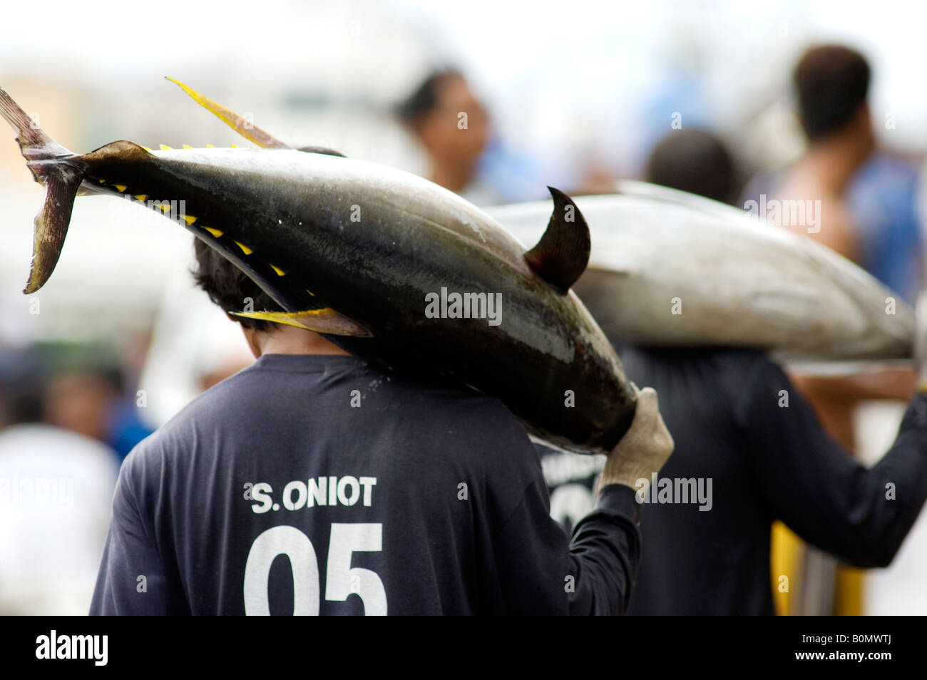 Yellow fin tuna at fish market at General Santos City, Mindanao ...