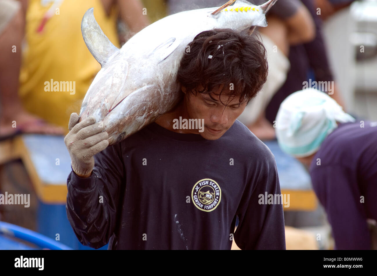 Yellow fin tuna at fish market at General Santos City, Mindanao ...