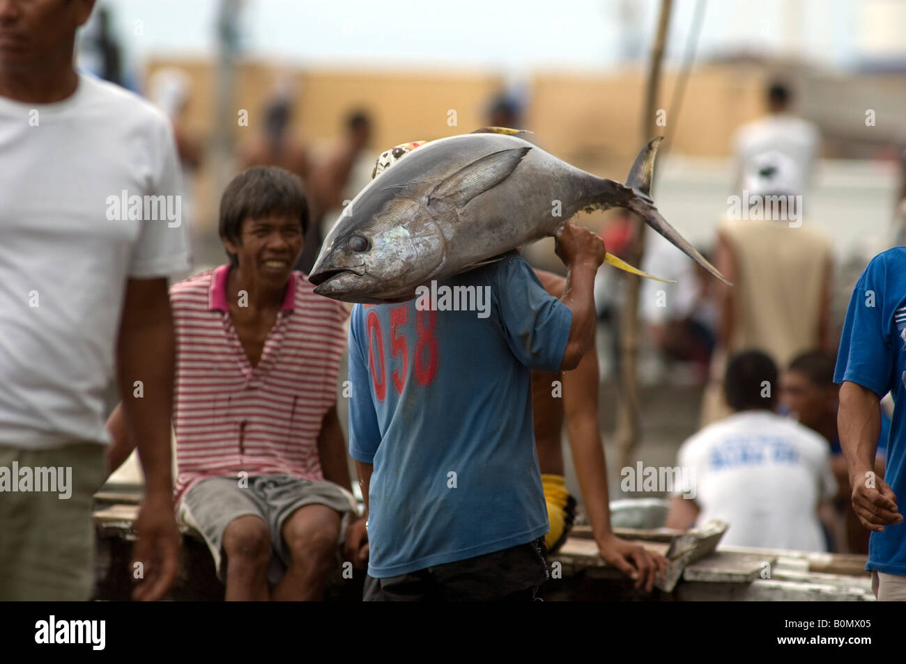 Yellow fin tuna at fish market at General Santos City, Mindanao ...