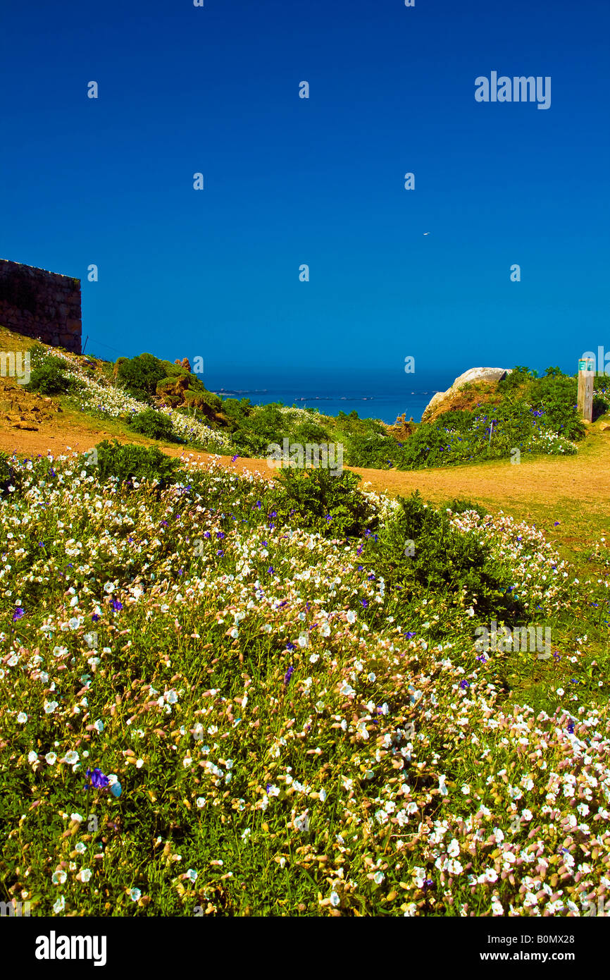 Les 7 Iles, Pink Granite Coast, Brittany, France Stock Photo - Alamy