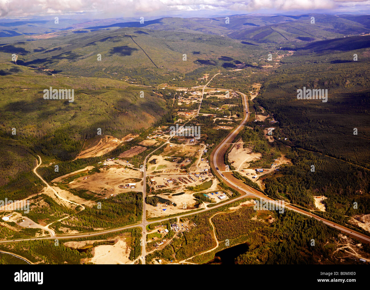 Town fox hi-res stock photography and images - Alamy