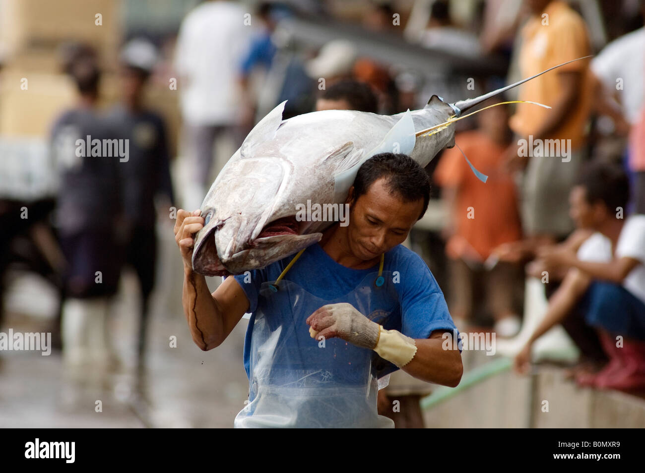 Yellow fin tuna at fish market at General Santos City, Mindanao ...