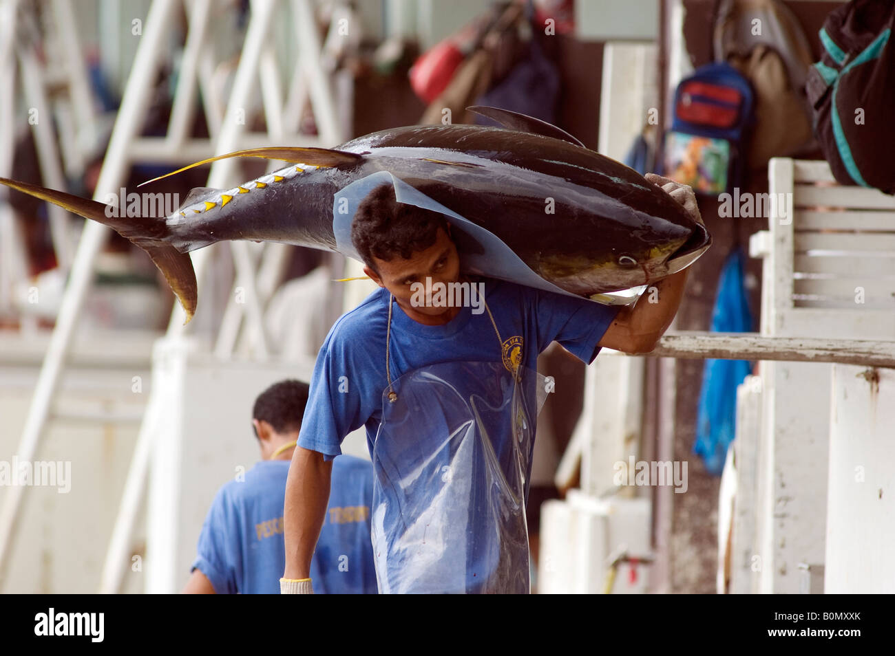 Yellow fin tuna at fish market at General Santos City, Mindanao ...