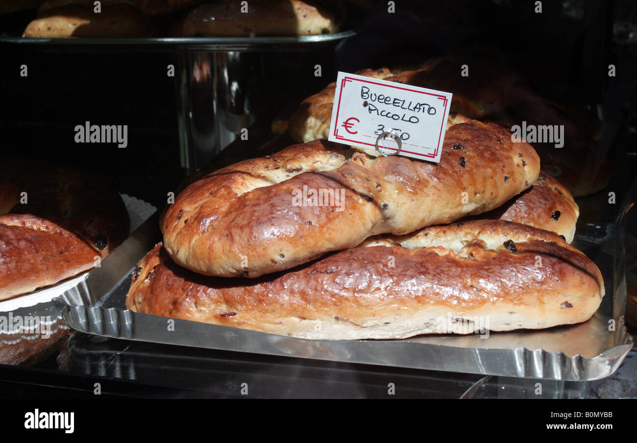 Buccellato Piccolo Italian bread in a baker s shop window Lucca Tuscany ...