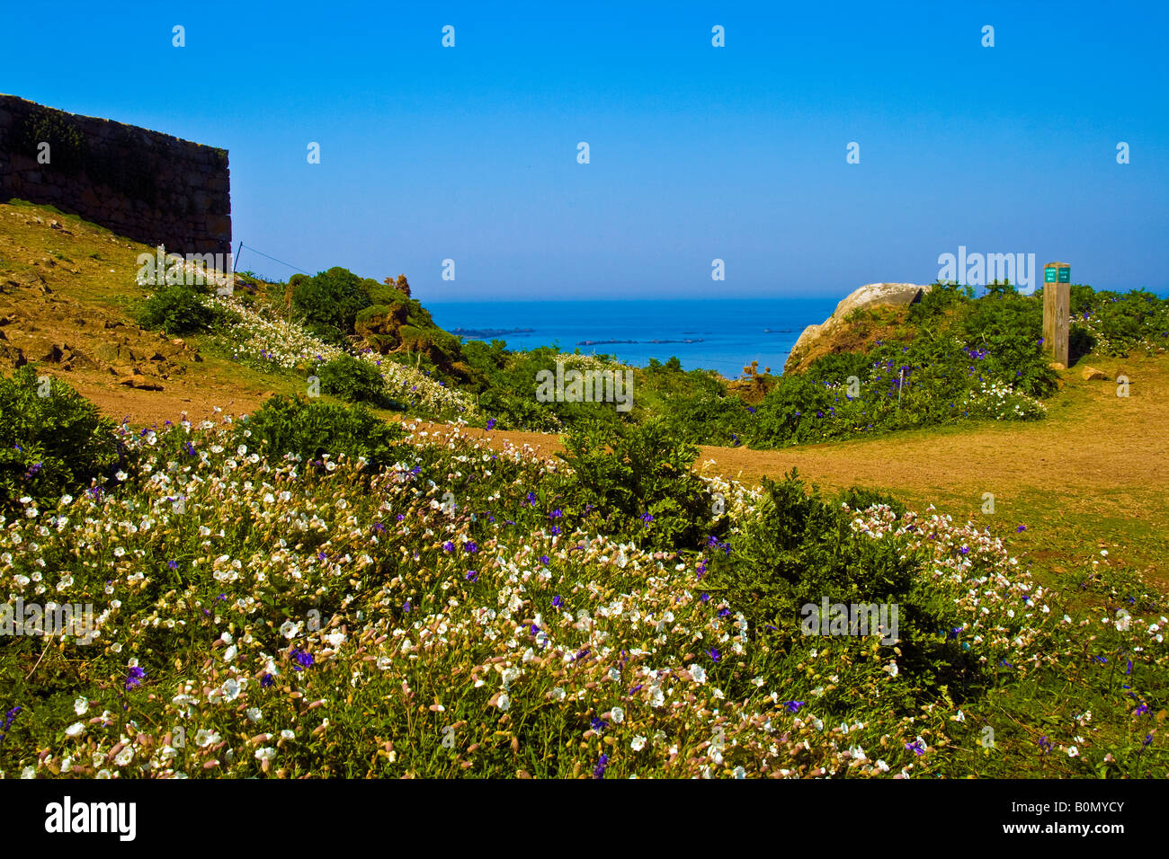 Les 7 Iles, Pink Granite Coast, Brittany, France Stock Photo - Alamy