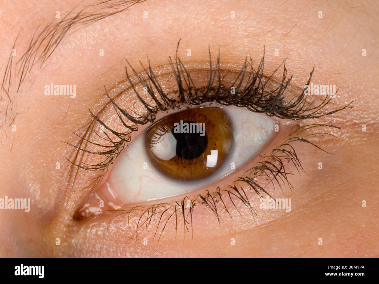 the human wide open brown eye macro Stock Photo - Alamy
