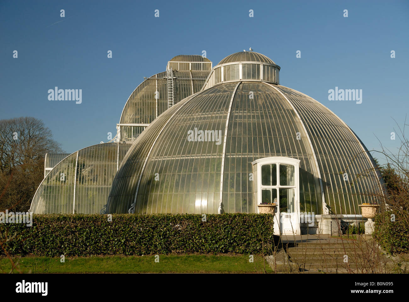 The Palm House, Kew Gardens Stock Photo - Alamy