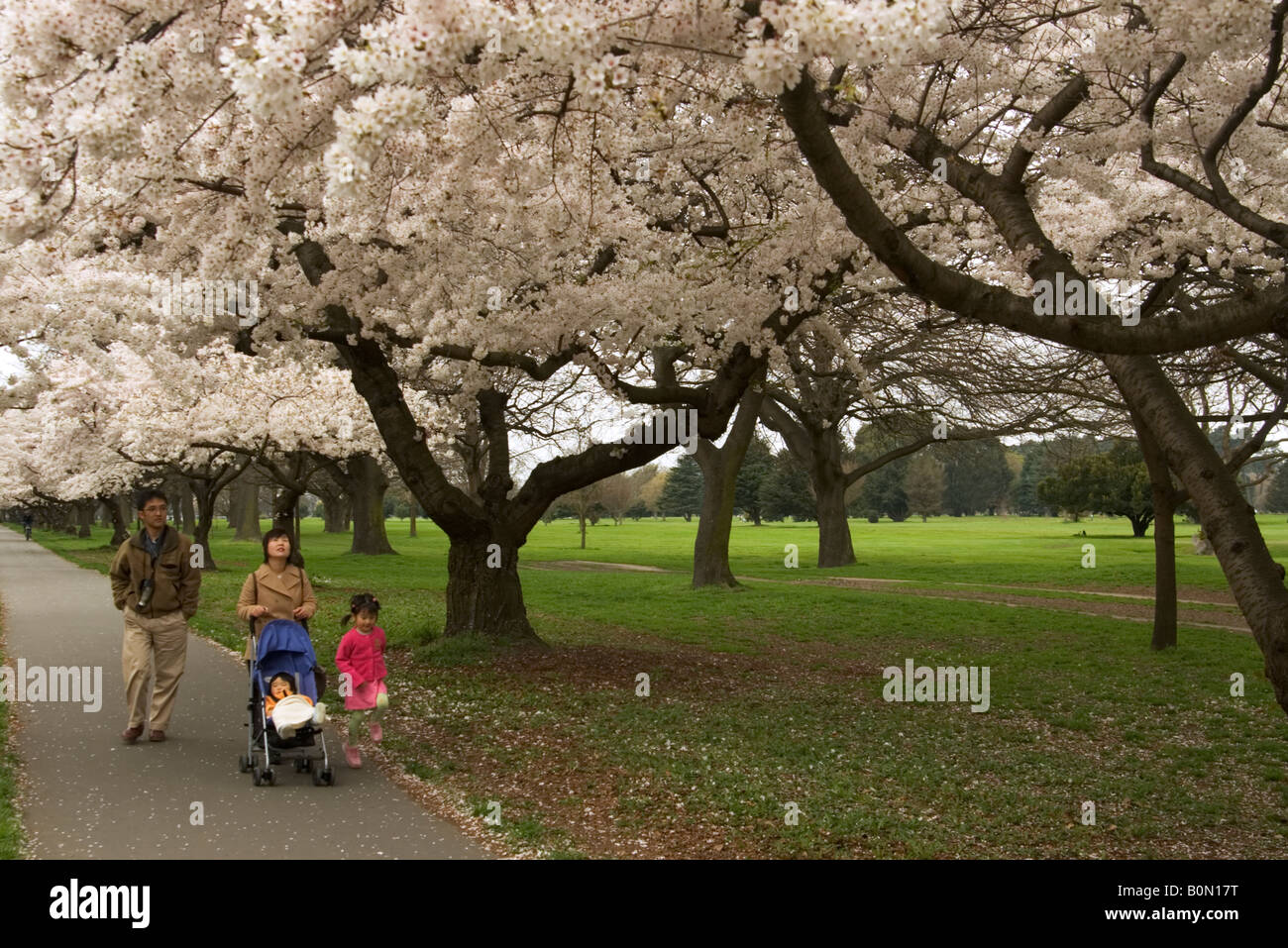 Christchurch hagley park spring hi-res stock photography and images - Alamy