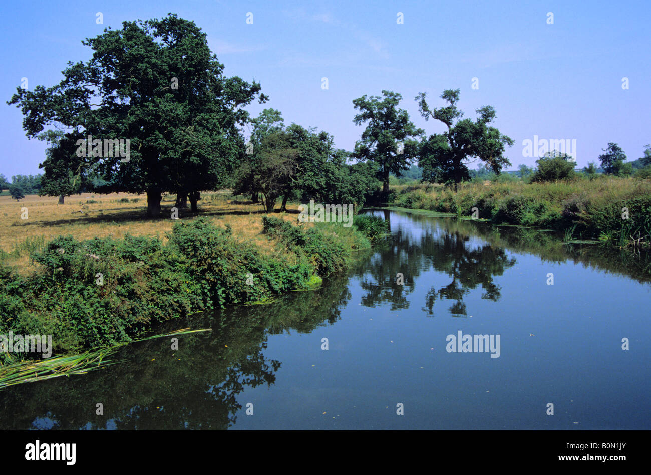River Medway near Tonbridge, Kent, England, UK Stock Photo - Alamy