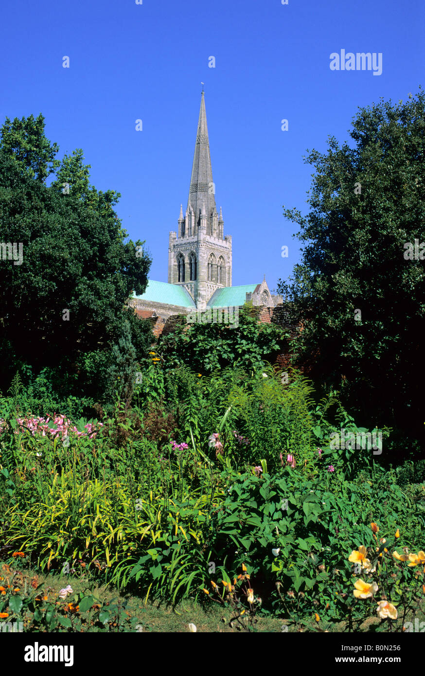 Chichester Cathedral with gardens in foreground, Chichester, Sussex ...