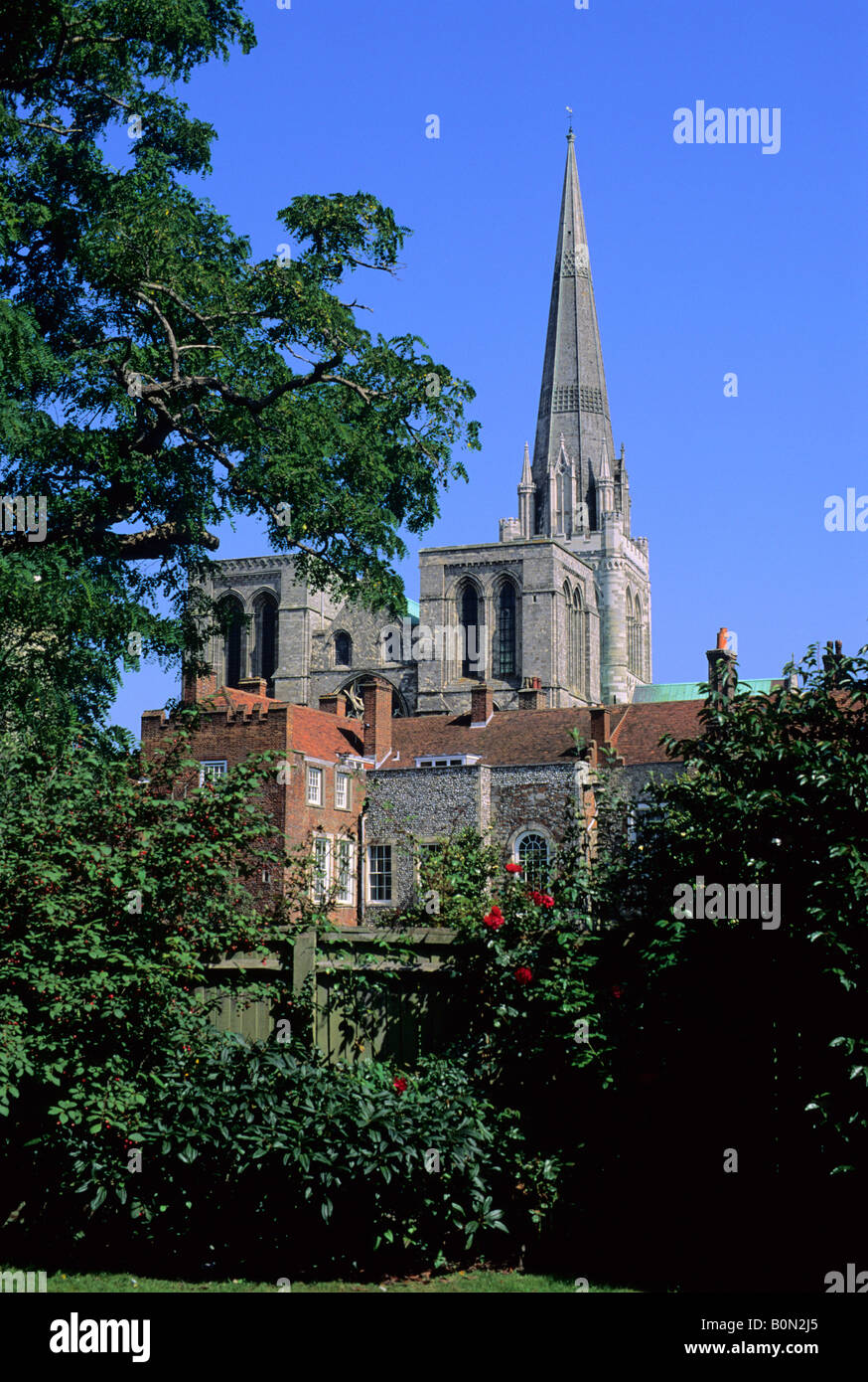 Chichester Cathedral with gardens in foreground, Chichester, Sussex ...