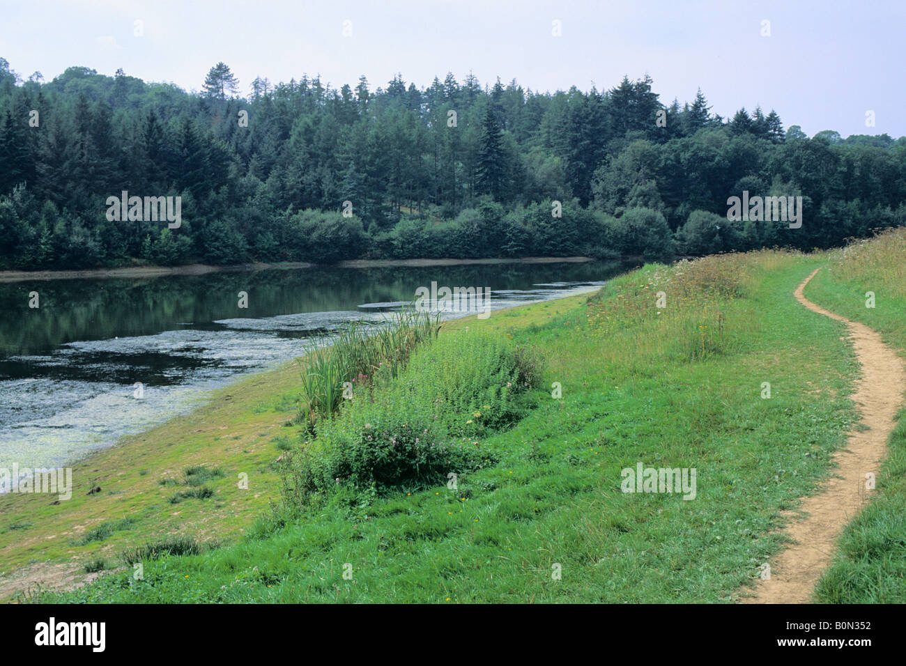 Ardingly hi-res stock photography and images - Alamy