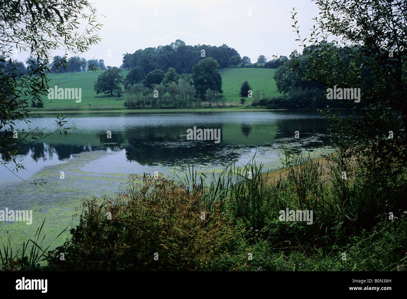 Ardingly Reservoir, Ardingly, Sussex, England, UK Stock Photo - Alamy