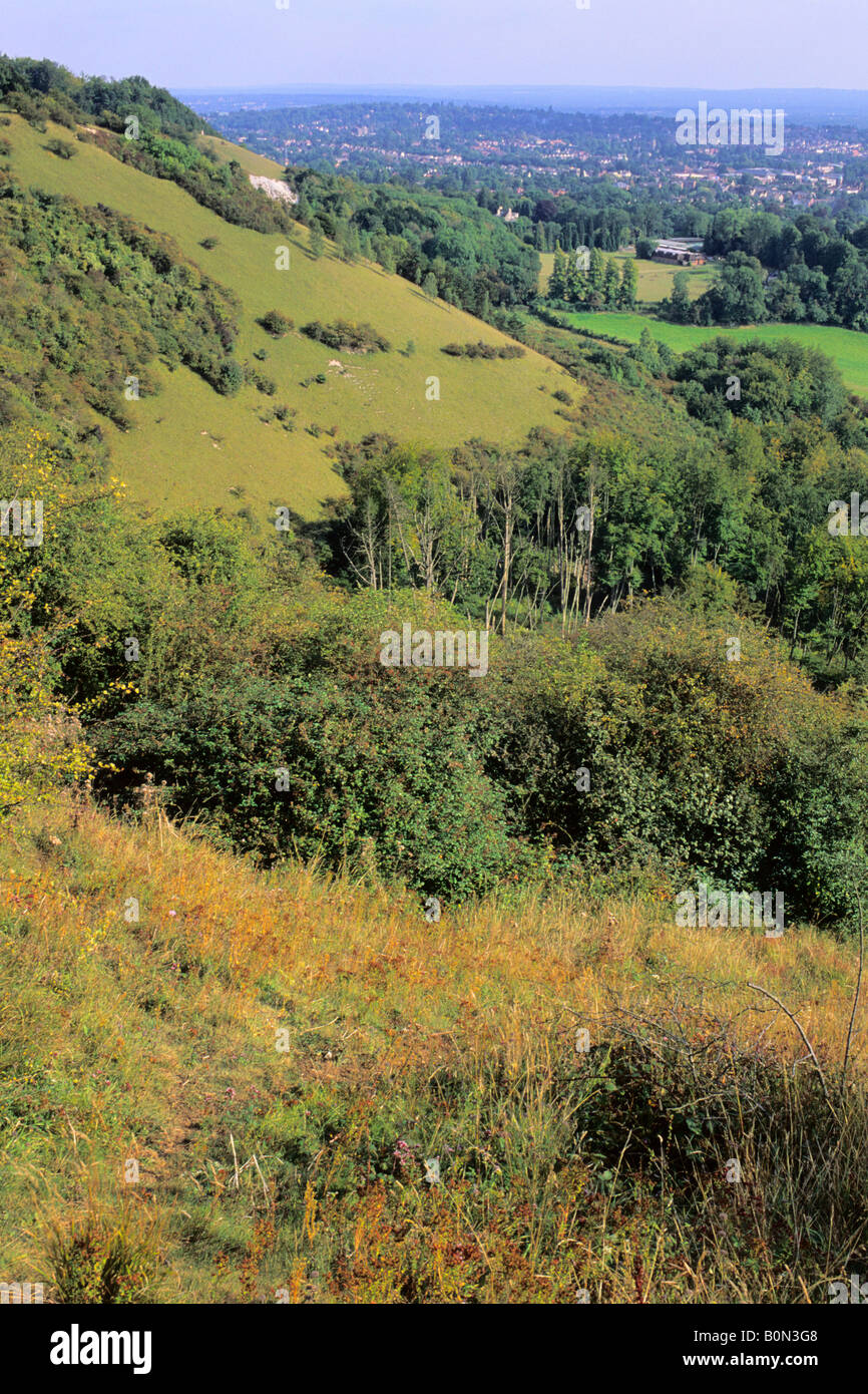 Surrey redhill hi-res stock photography and images - Alamy