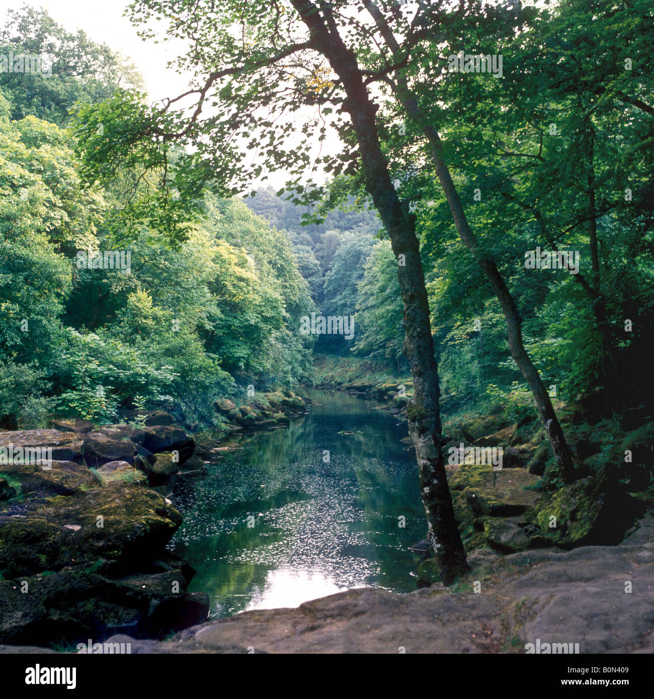 Strid river near bolton abbey hi-res stock photography and images - Alamy