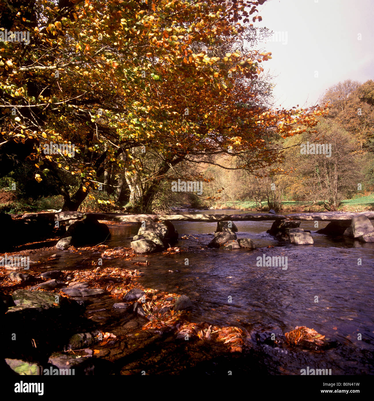 Autumn view of Tarr Steps in Exmoor, a prehistoric stone Clapper Bridge ...