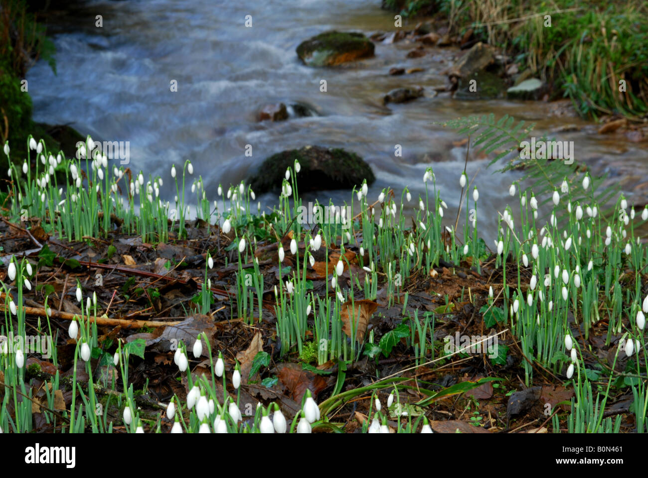 Wheddon cross hi-res stock photography and images - Alamy
