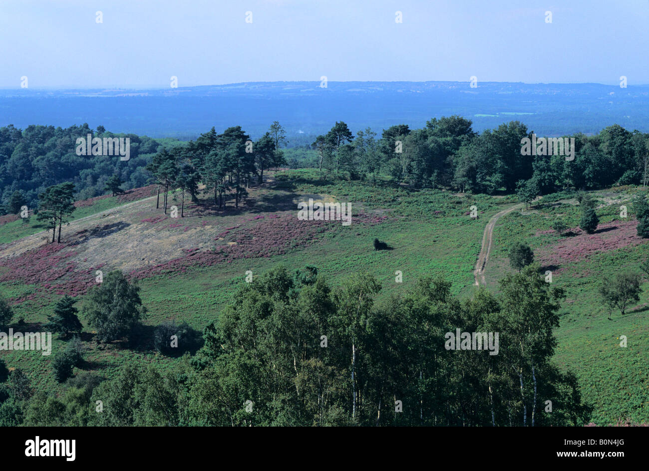The Devil's Punch Bowl, Hindhead, Surrey, England, UK Stock Photo - Alamy