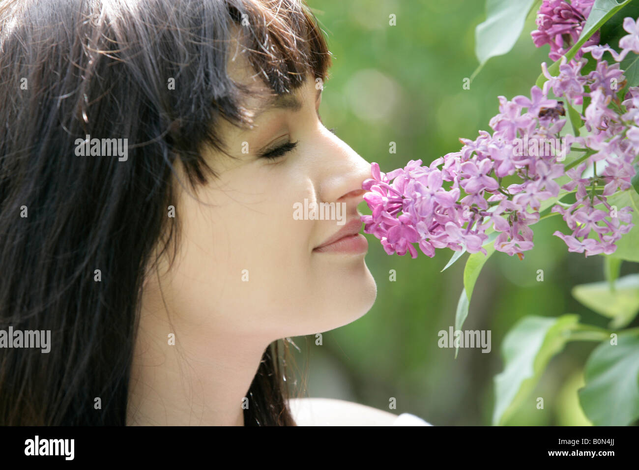 Woman smelling lilac branches Stock Photo - Alamy