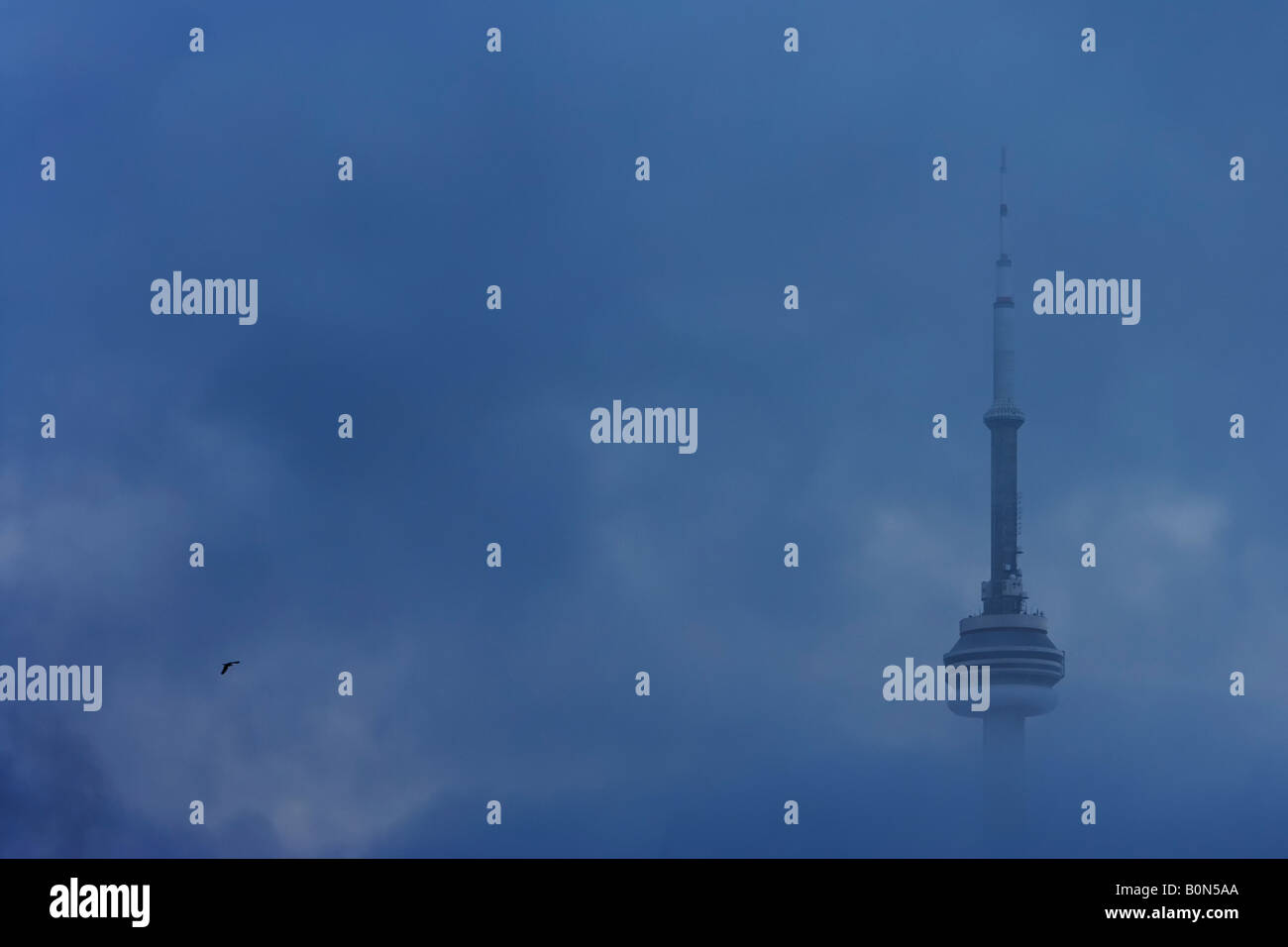 CN Tower with flying bird, in Cloud, Toronto Stock Photo - Alamy