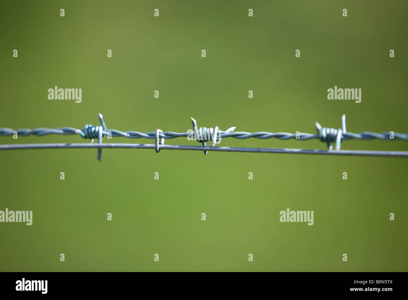 barbed wire against a green field background Stock Photo - Alamy